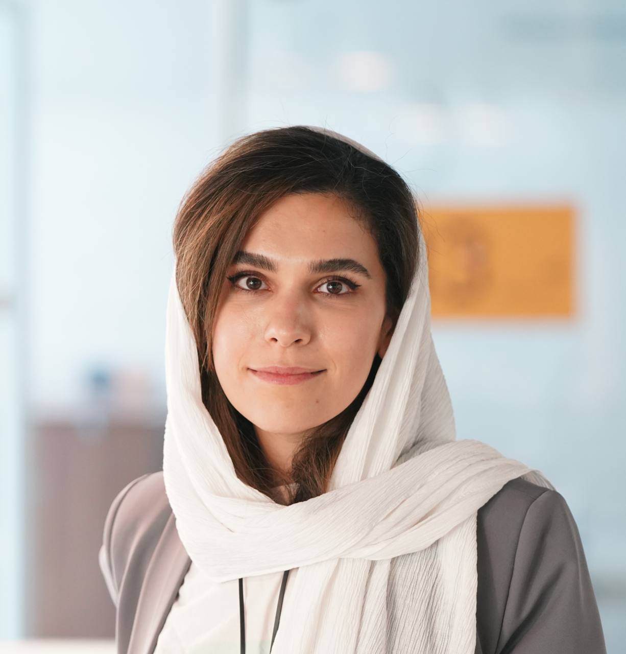 درباره ما - پروداکت رود